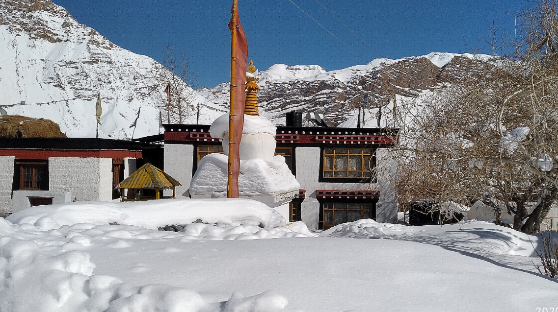 Discover the Charm of Wangmo Homes Rangrik: Your Ideal Spiti Valley ...
